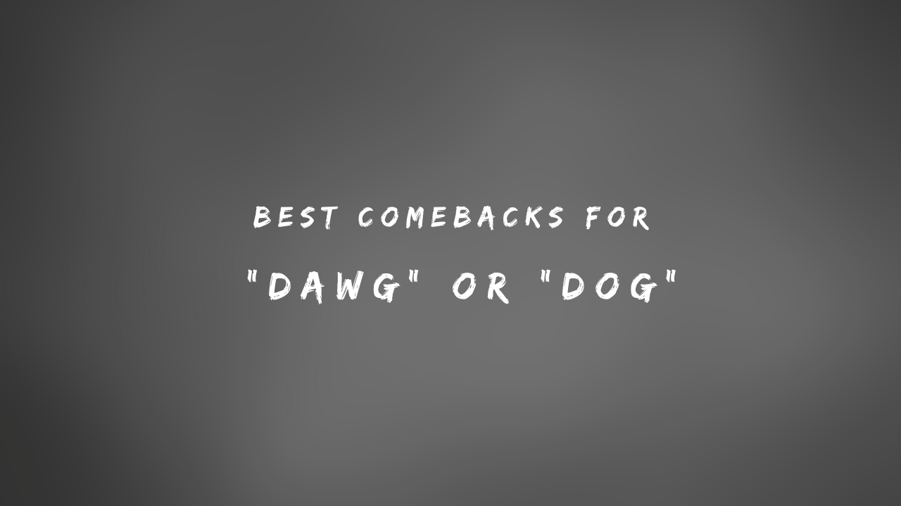 Best Comebacks for "Dawg" or "Dog" : 150+ Comebacks