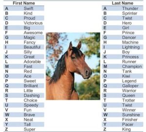 100+ Best Horse Team Names for Riders, Racers, and Dreamers