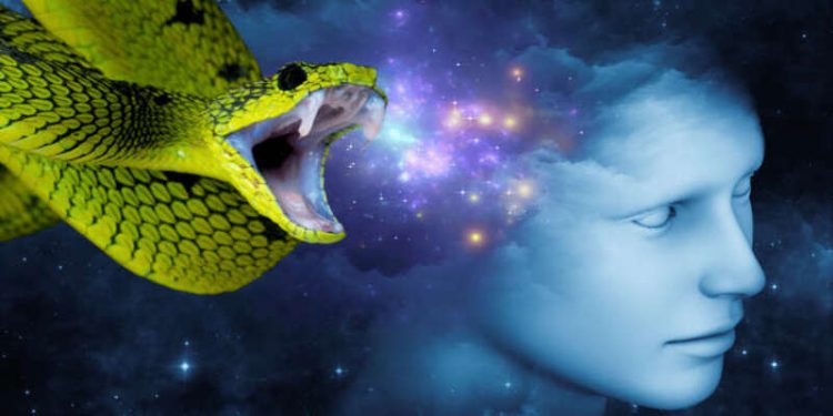 Dream of Snakes: What Numbers to Play Based on Your Dream - ZA Comebacks