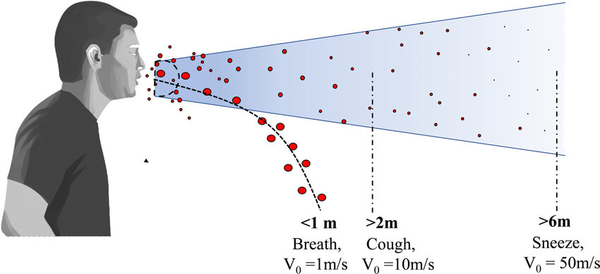 How Far Does a Sneeze Travel? Experts Reveal the Distance
